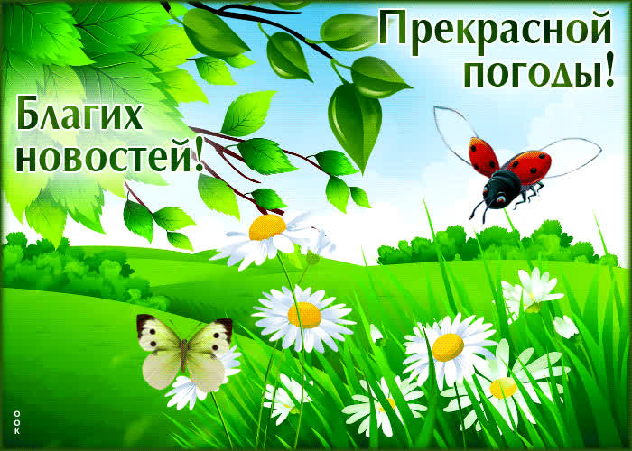 Потрясающая открытка Прекрасной погоды! Благих новостей! - Скачать ...