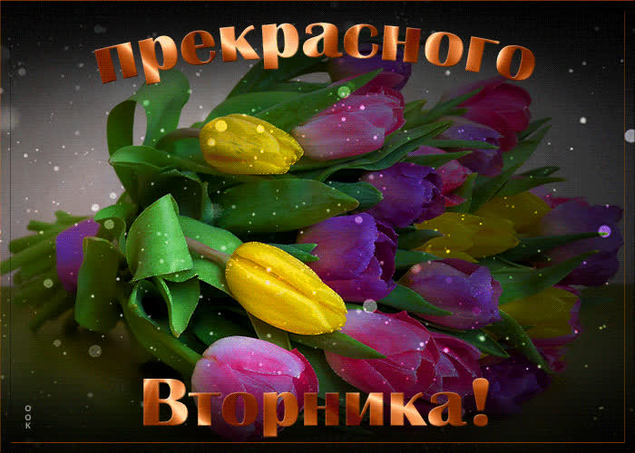 Прекрасная картинка с вторником - Скачать бесплатно
